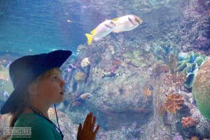 City Day Camps - City CYC